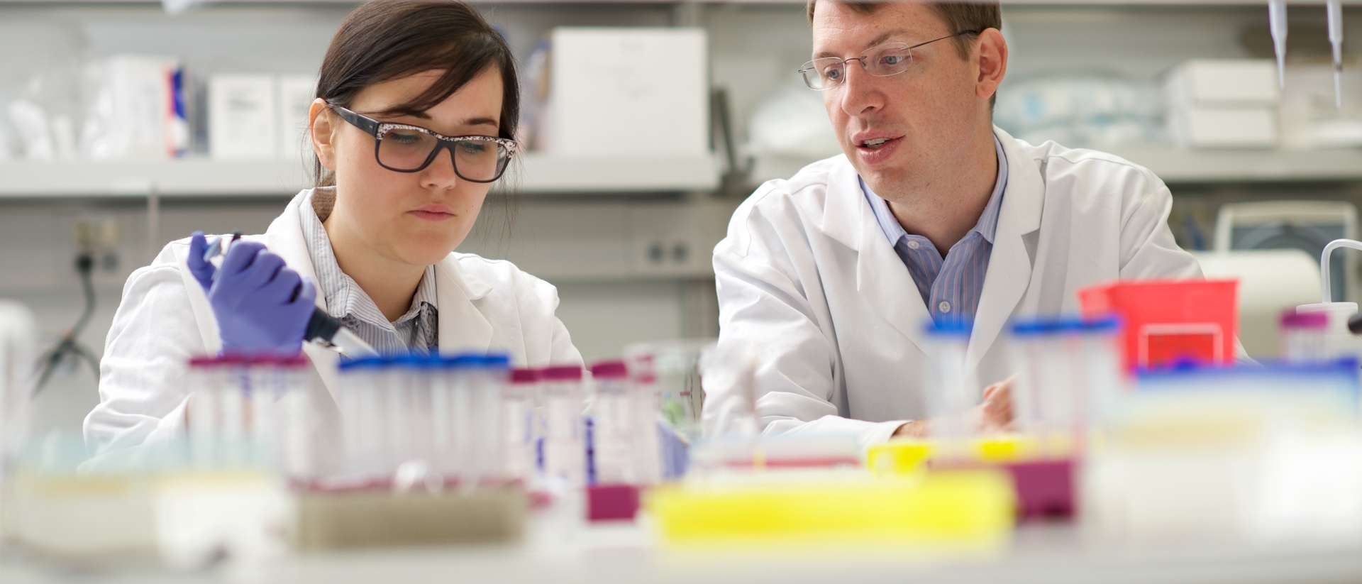 Curriculum | Medical Scientist Training Program - Carver College of ...